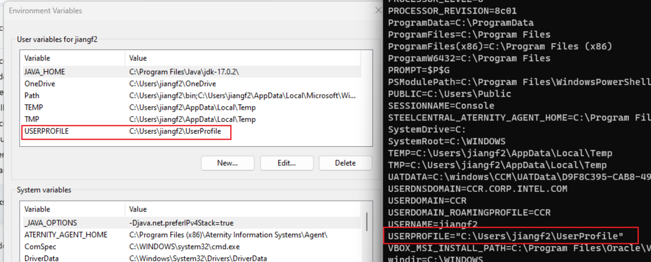 Siyuan 2.9.1 内核启动失败，无法使用 - 链滴