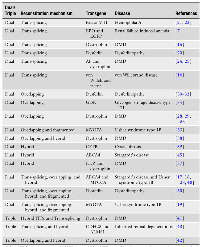 Design of AAV Vectors for Delivery of Large or Multiple Tra - 链滴